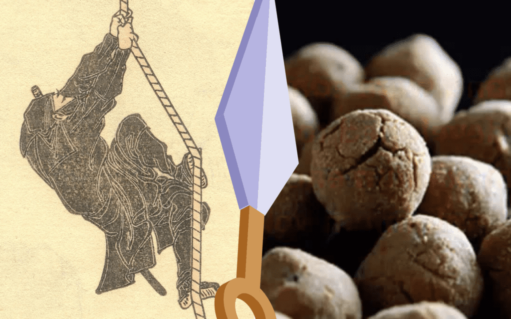 🍘 Hyorogan, les rations de combat des ninjas [RECETTE]