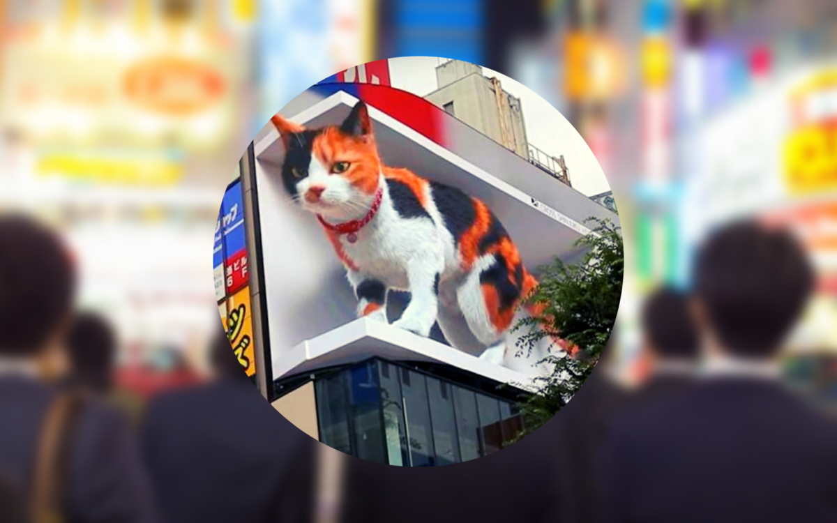 🐈 Ce chat géant de Shinjuku fait le tour du monde