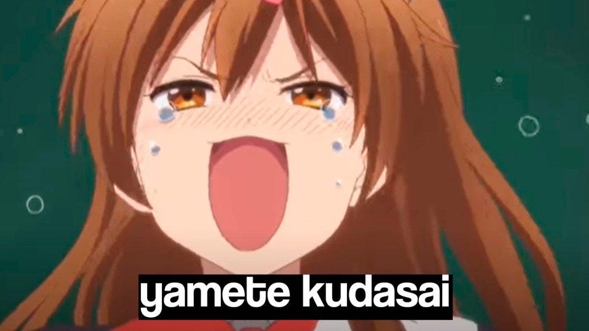 🛑 Signification de yamete kudasai