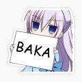 🛑 Signification de baka