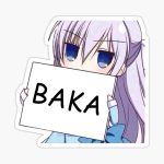 🛑 Signification de baka