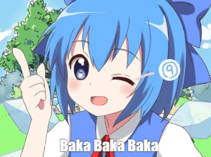 🛑 Signification de baka